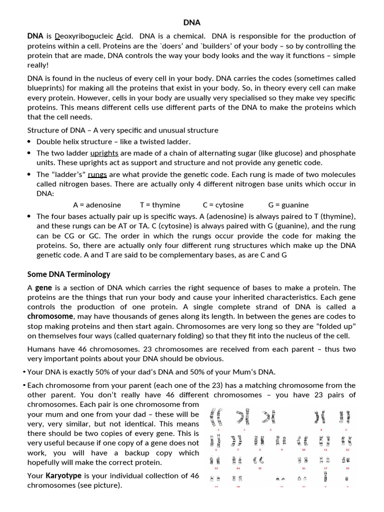 2 DNA | PDF | Dna | Gene
