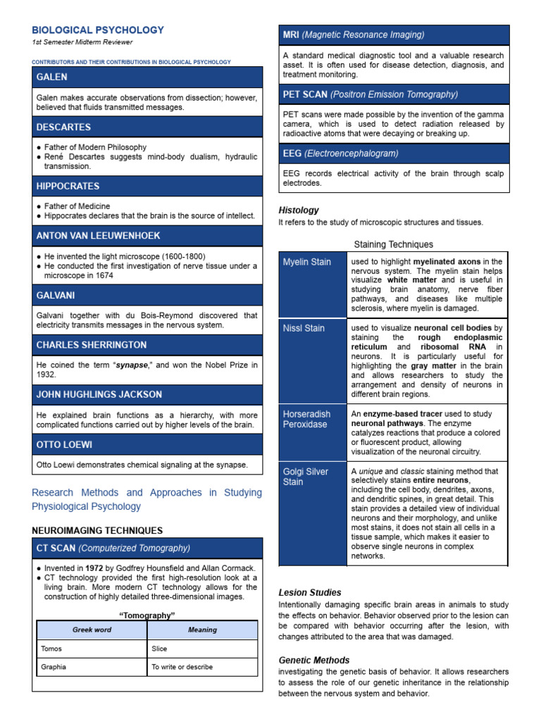 Haya Bio Psych Reviewer Sagot q Sa Exam Sintas Ng Sapatos | PDF | Neuron | Allele
