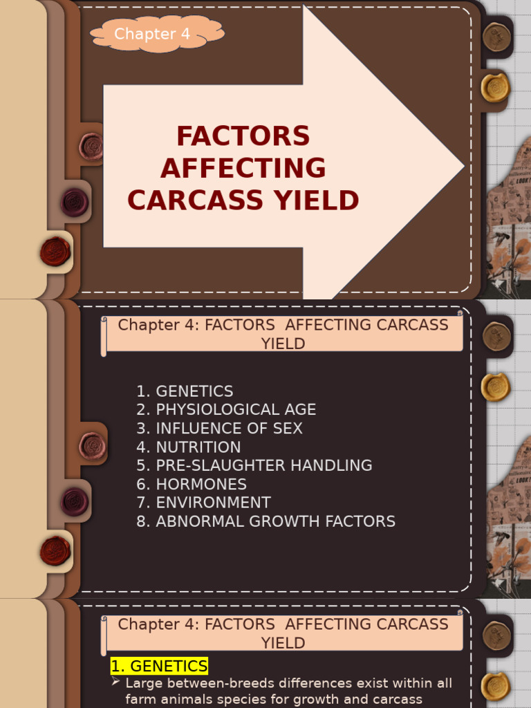 Carcass Yield Factors Explained | PDF | Diet (Nutrition) | Diet & Nutrition