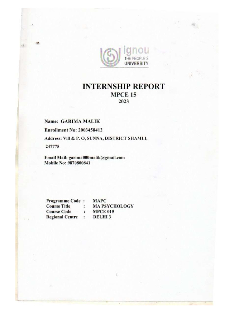 final internship report | PDF