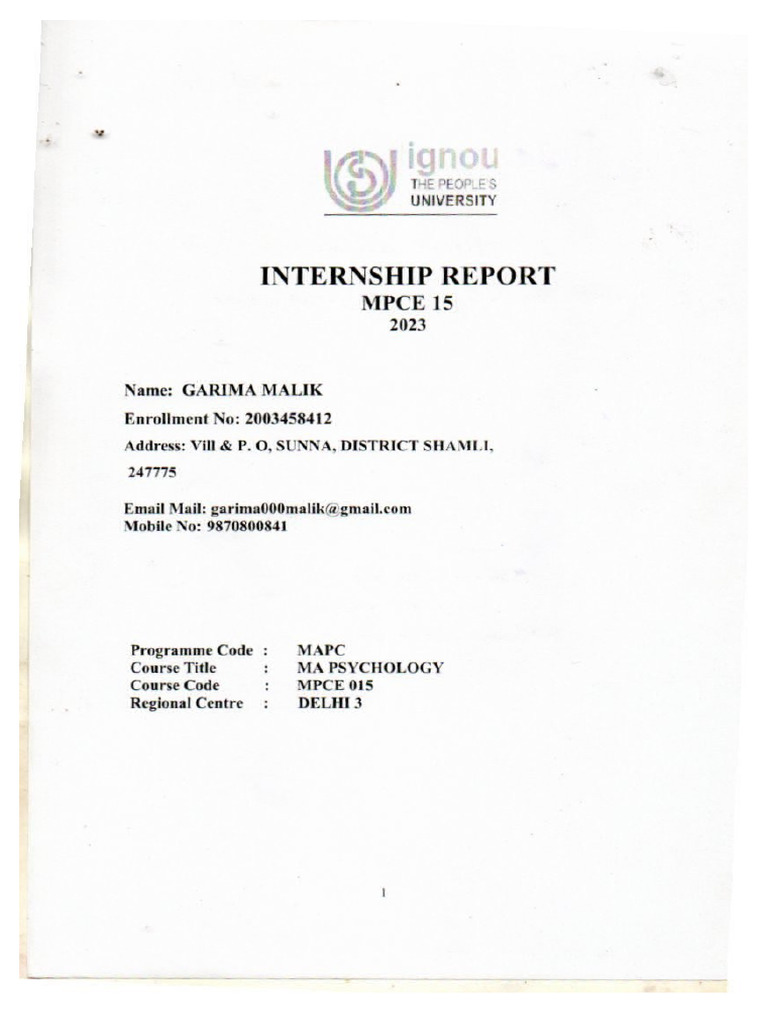 Internship Report Final | PDF