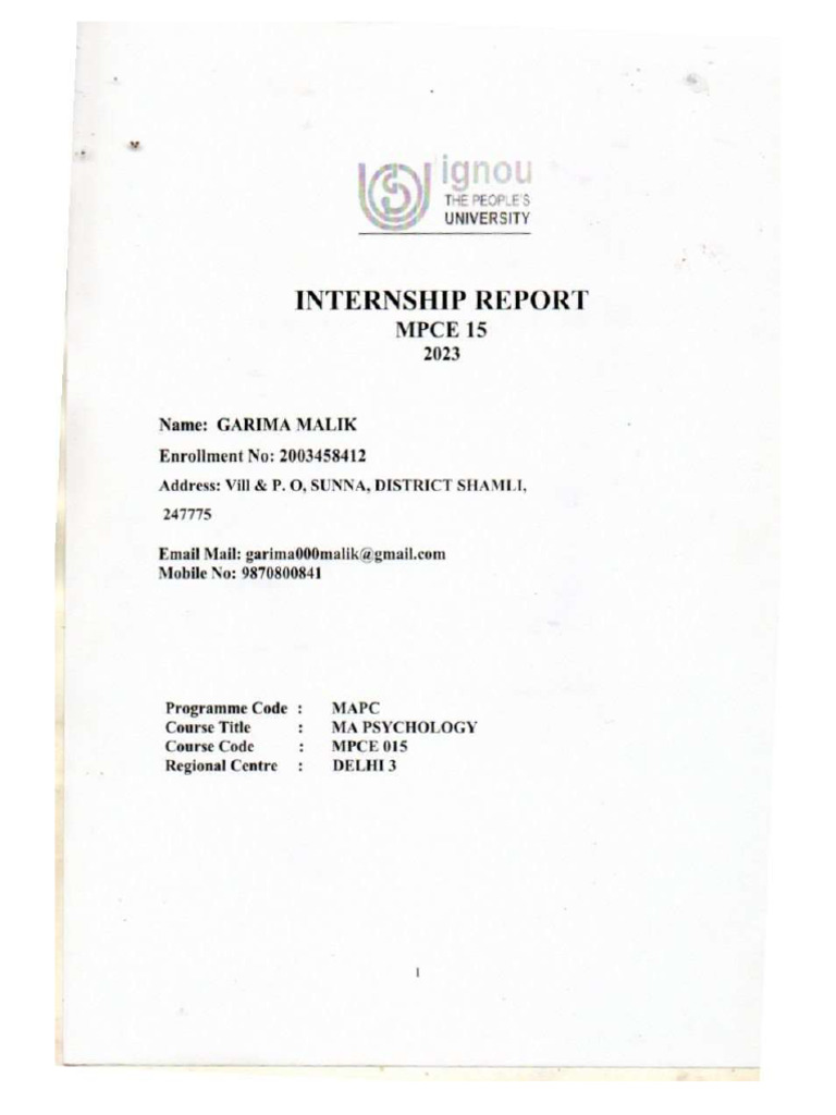 Internship Report | PDF