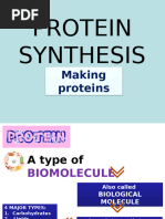 DNA vs. RNA and Protein Synthesis | PDF | Translation (Biology) | Rna