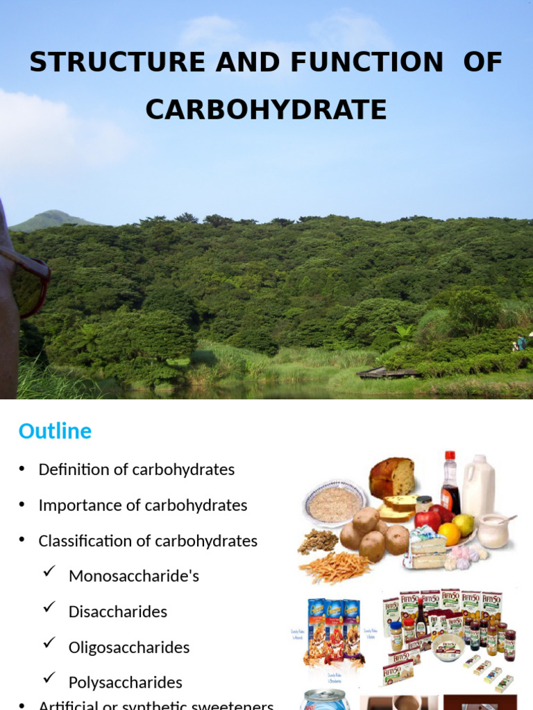1.2 Structure and Function of Carbohydrates | PDF | Carbohydrates ...