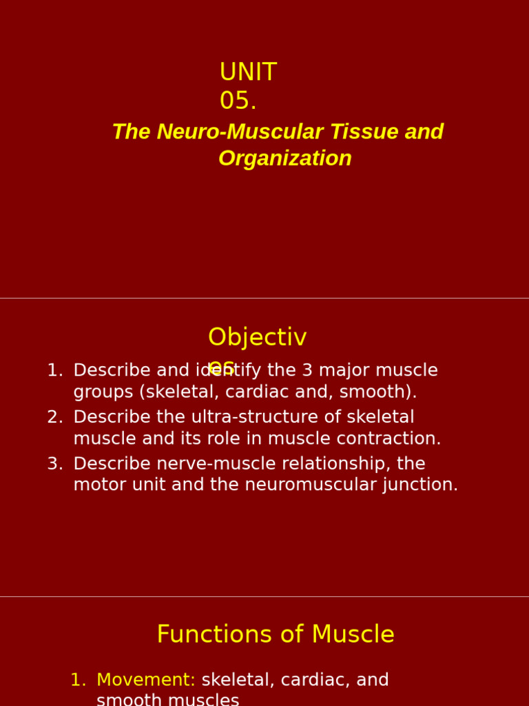 UNIT 05. The Neuro-Muscular Tissues | PDF | Motor Neuron | Muscle ...