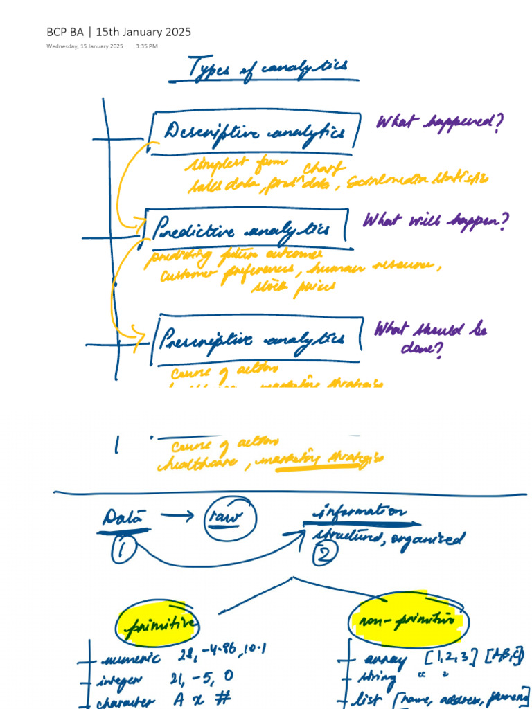 BCP BA Meeting Summary - Jan 2025 | PDF