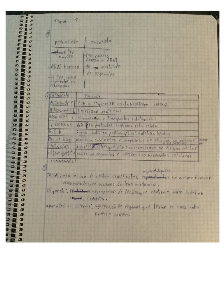 Nota 15 Dic 2023, 21 - 17 - 11 | PDF