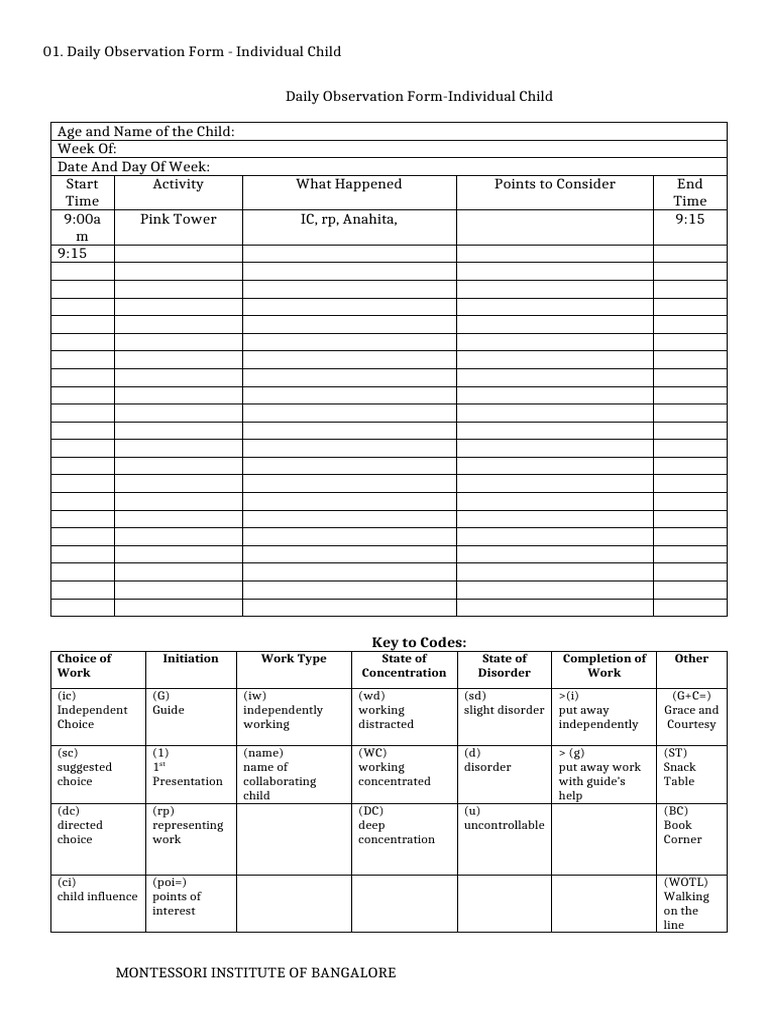 01. Daily Observation Form - Individual Child | PDF