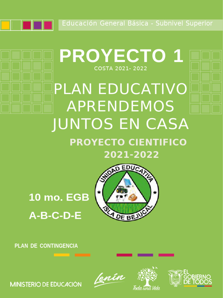 10mo Proyecto Cientifico Interdisciplinario Basica Superior | PDF | Aprendizaje