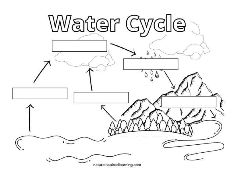 Water Cycle Coloring Page Nature Inspired Learning 3 | PDF