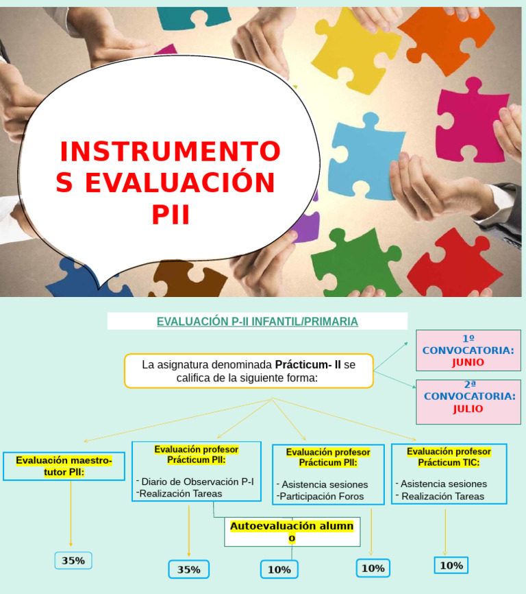 Instrumentos Evaluación Pii | PDF