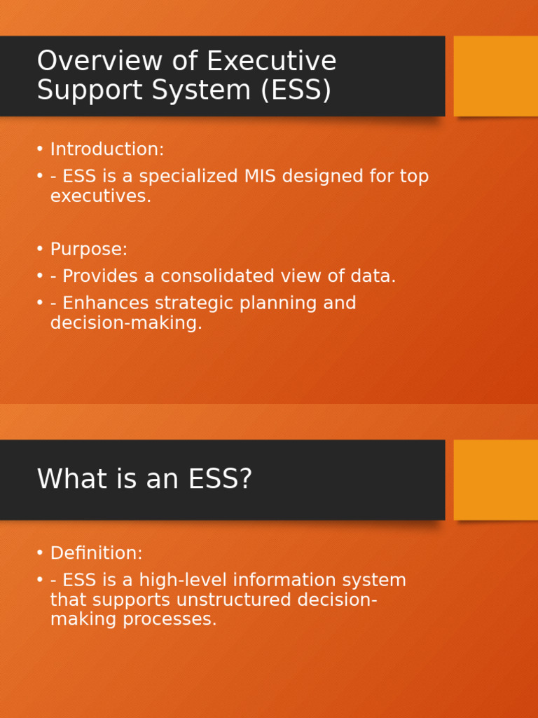 Executive Support System Overview | PDF | Data | Data Management