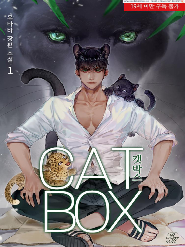 (BL) Cat Box (MTL) - Completa (001-150) .Es - Fa | PDF