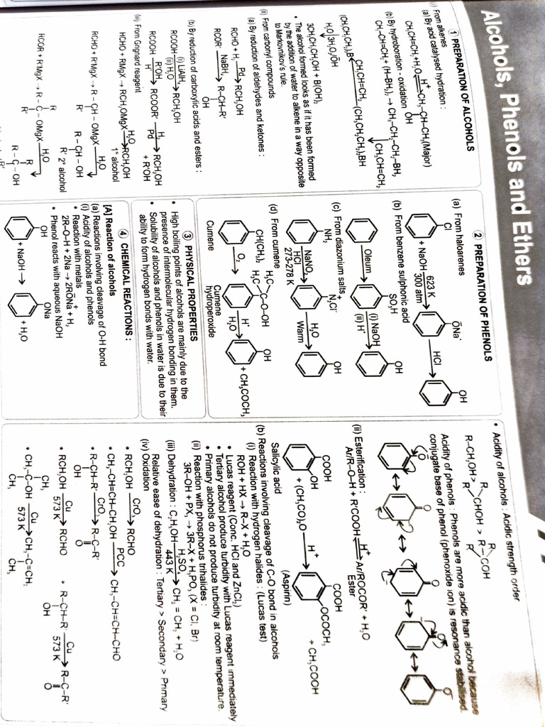 Alcohols Mind Map For Class XII | PDF | Aldehyde | Ester