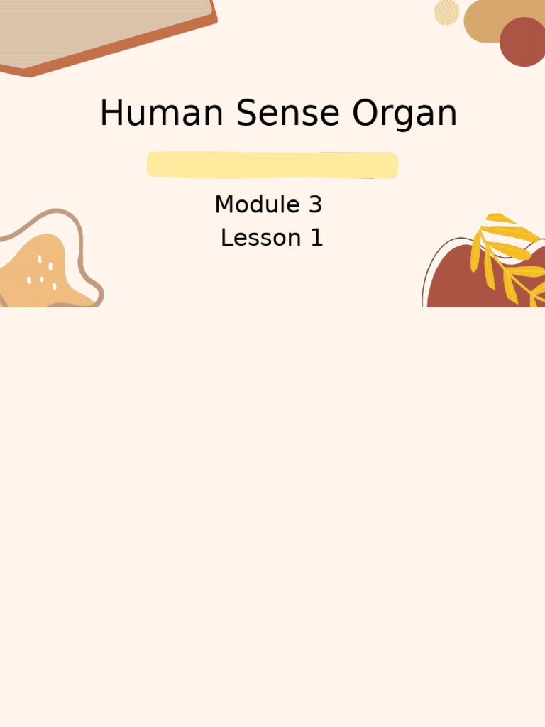 Human-Sense-Organ 20240913 134802 0000 | PDF