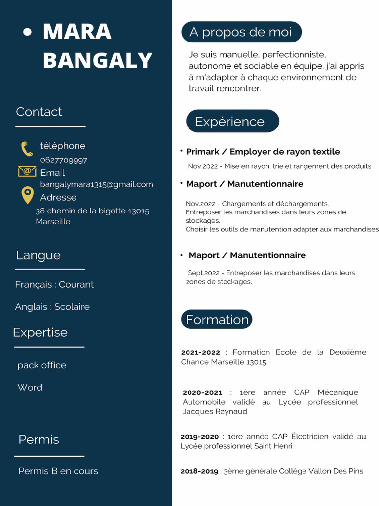 CV Bangaly MARA | PDF
