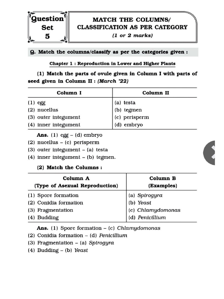 Match The Columns | PDF