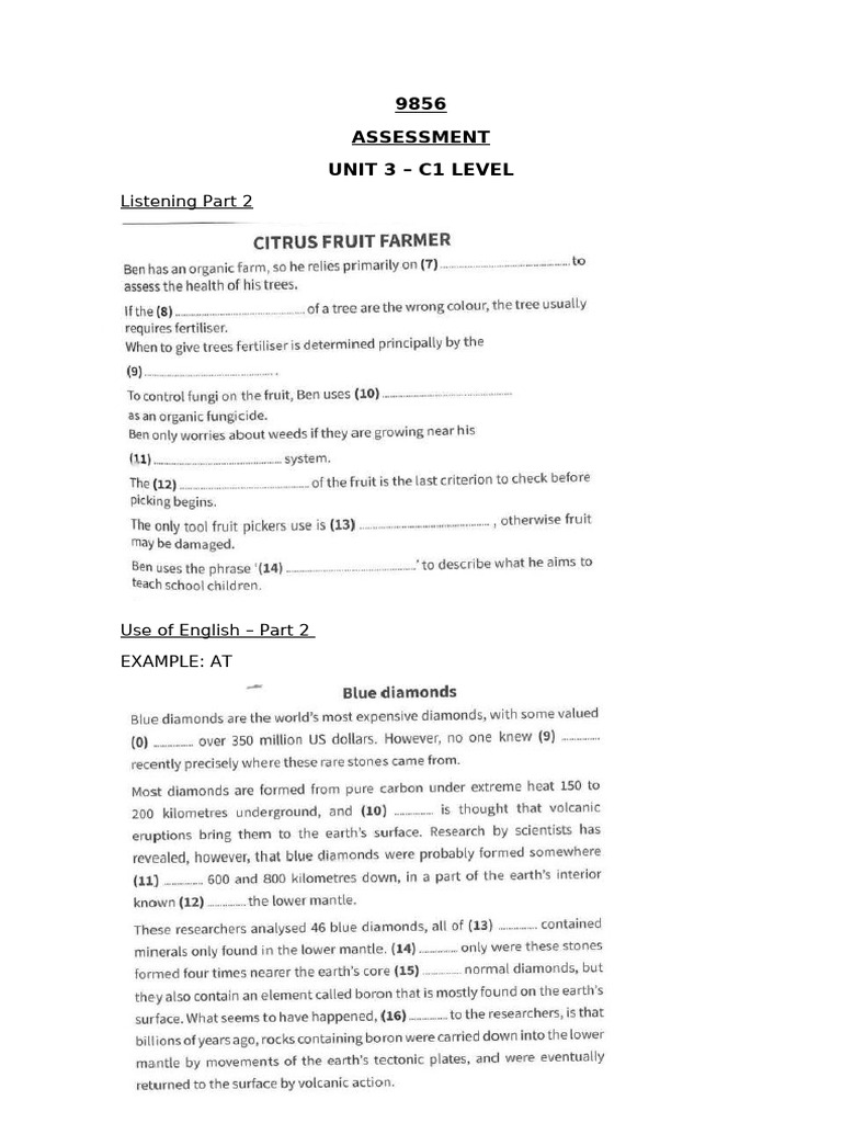 ASSESSMENT unit 3 | PDF