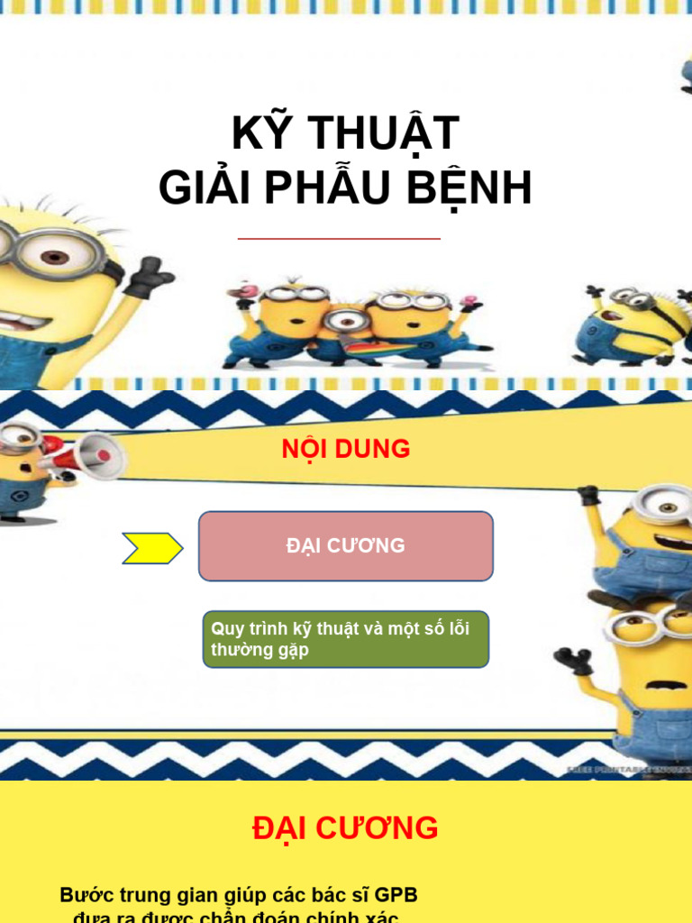 Bài 1 - KT GPB | PDF