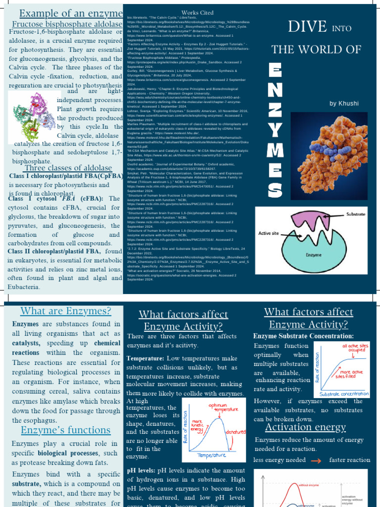 Enzymes in Photosynthesis & Metabolism | PDF | Enzyme | Chemical Reactions
