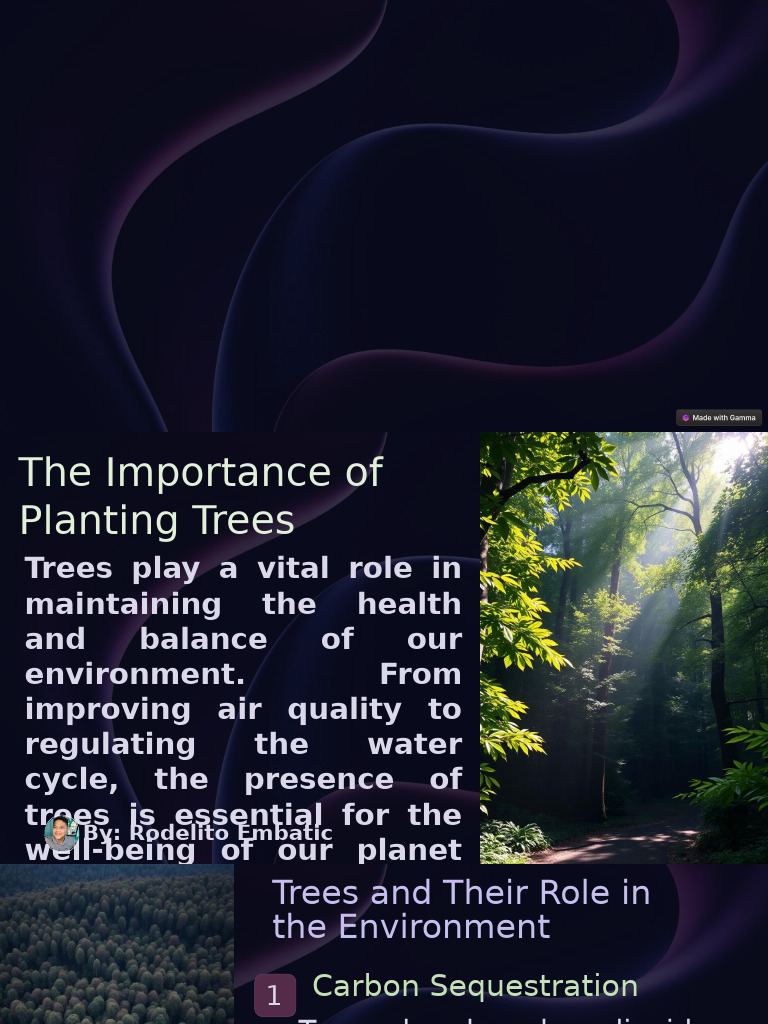 The Vital Role of Trees in Ecology | PDF | Trees | Soil