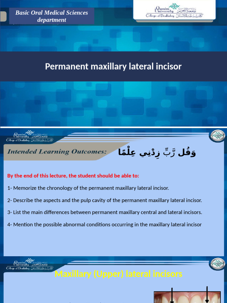 Permanent Maxillary Lateral Incisor Guide | PDF | Dentistry | Dental ...