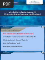 Class 4 Teeth and Their Structure Worksheet | PDF | Tooth | Tooth Enamel