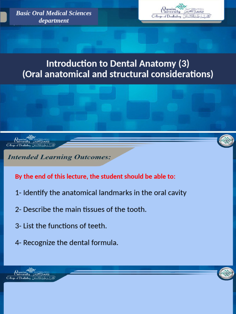 3 Oral and Dental Tissues. | PDF | Dental Anatomy | Tooth