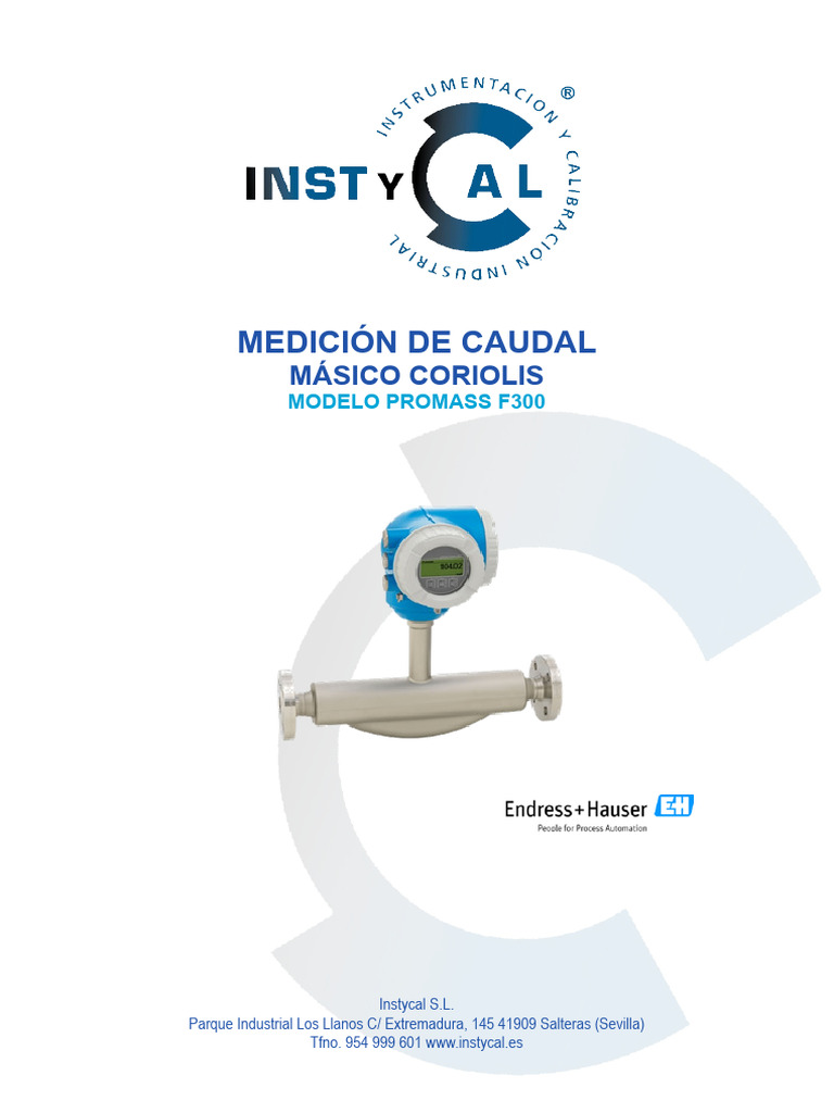 ENDRESS HAUSER Proline Promass F300 | PDF | Medición de flujo | Medición
