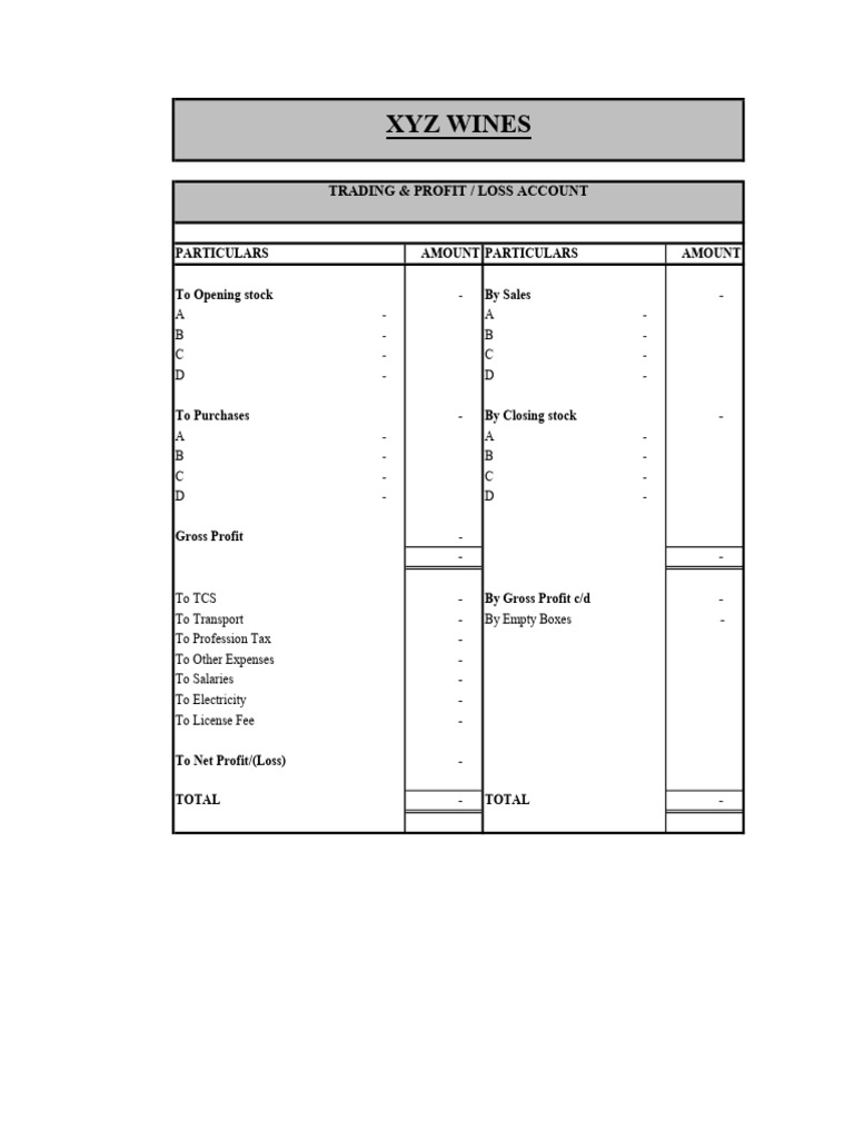 PL and BS Format | PDF