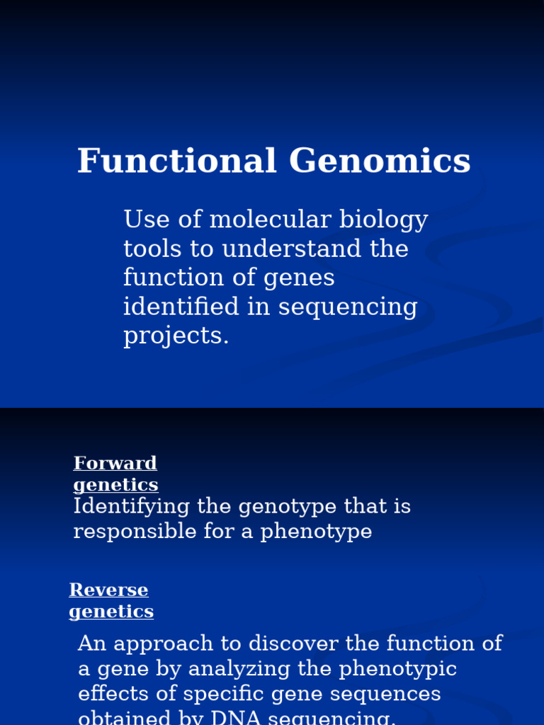 Lecture Functional Genomics | PDF