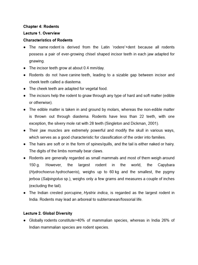 Key Characteristics of Rodents | PDF | Rodent | Rat