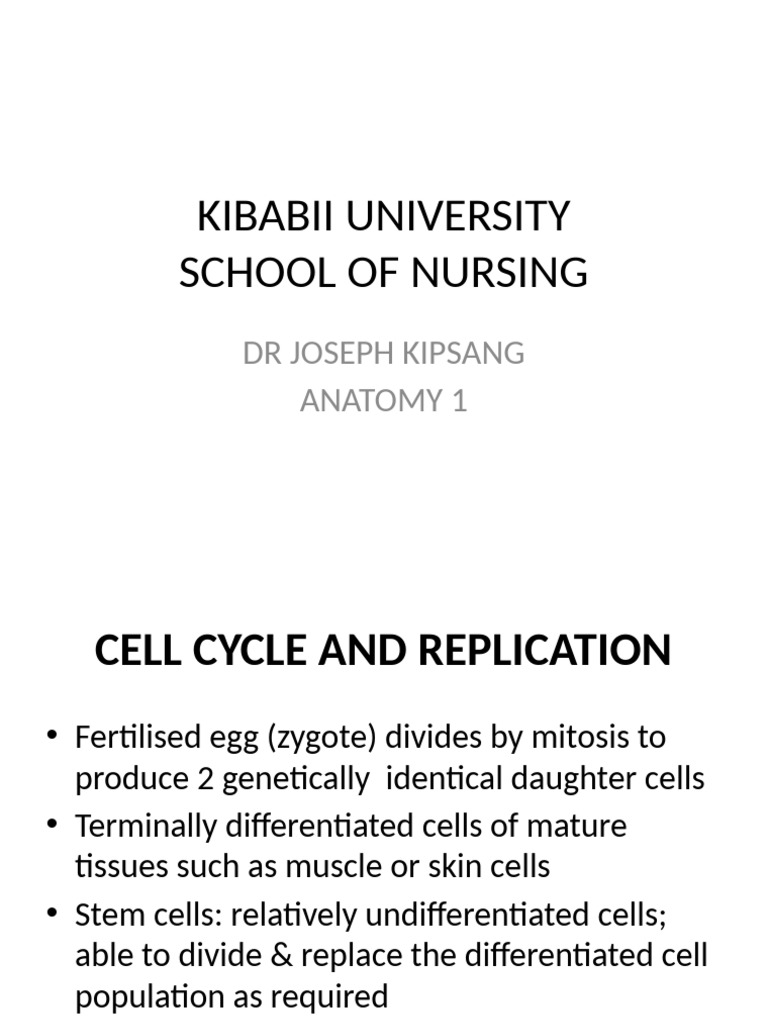 Cell Cycle & Replication | PDF | Mitosis | Cell Potency