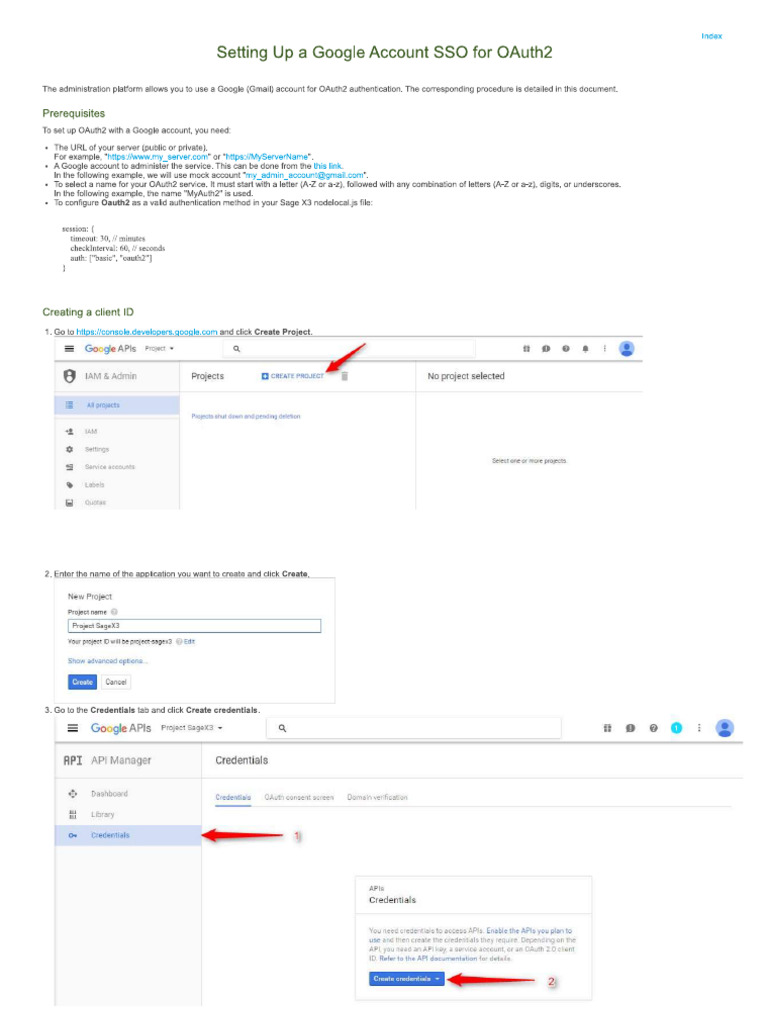 Setting Up a Google Account SSO for OAuth2 | PDF