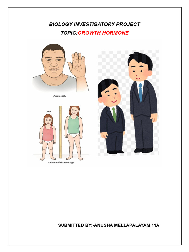Growth hormone project | PDF | Growth Hormone | Endocrine System