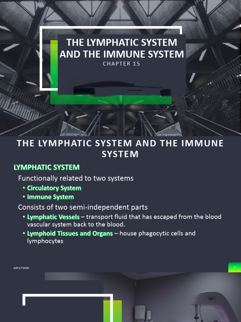 Lymphatic and Immune System Overview | PDF | Lymph | Lymphatic System