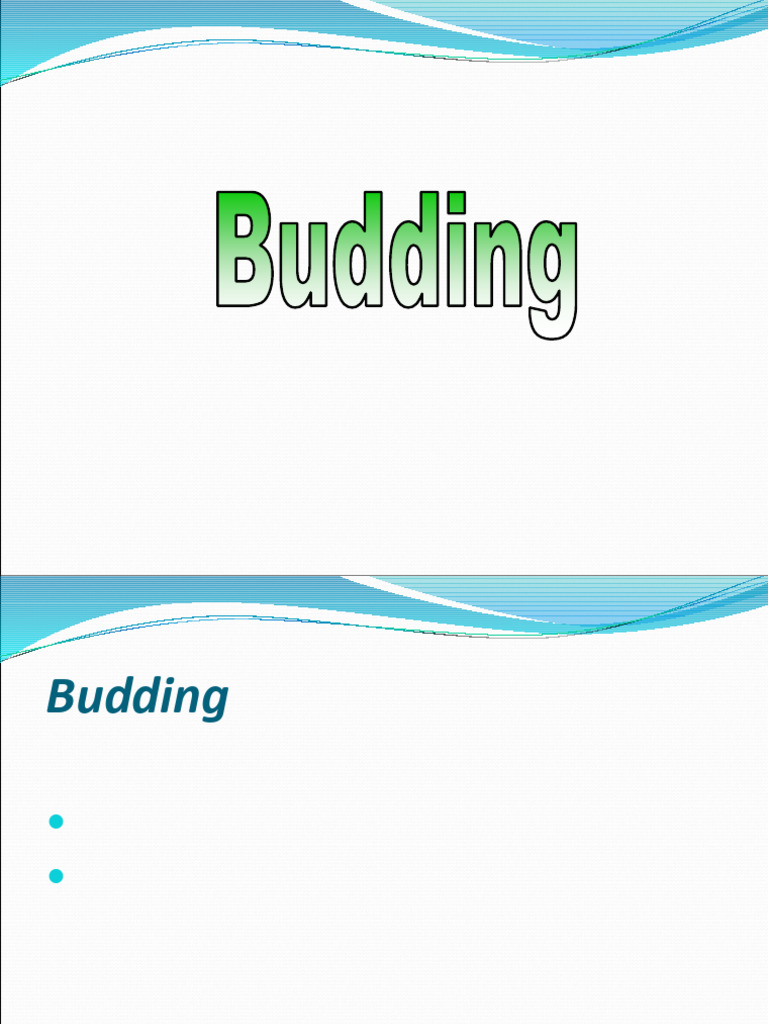 Budding | PDF | Grafting | Plants