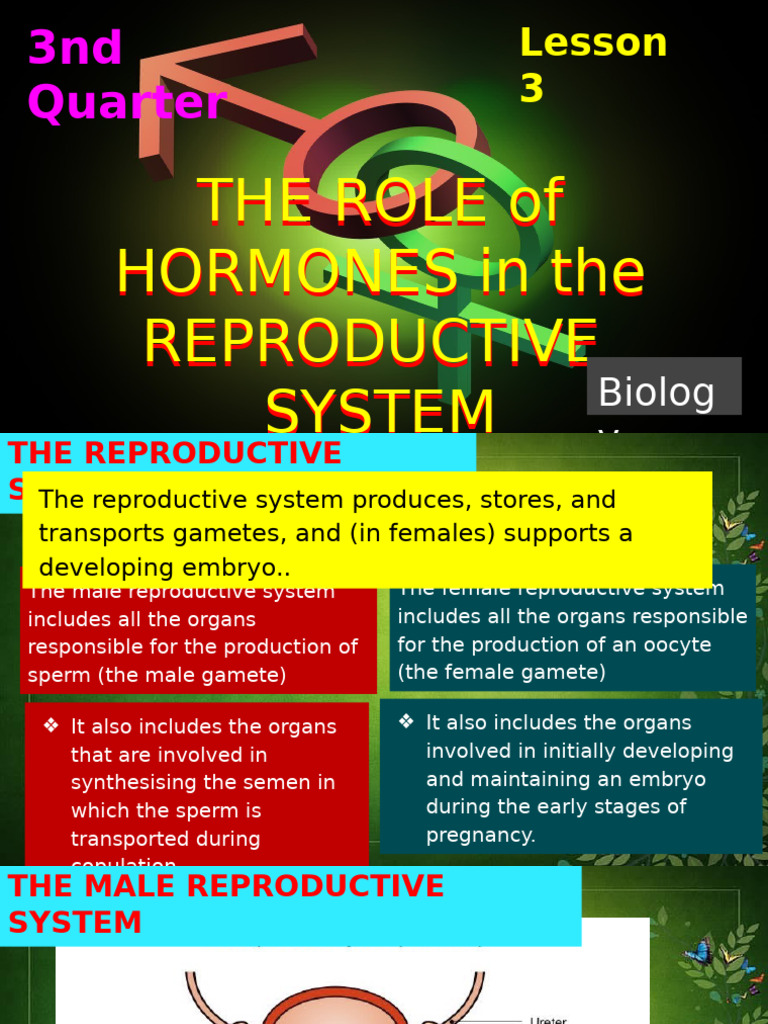 Quarter Iii - Lesson 3 - The Role of Hormones in The Reproductive ...