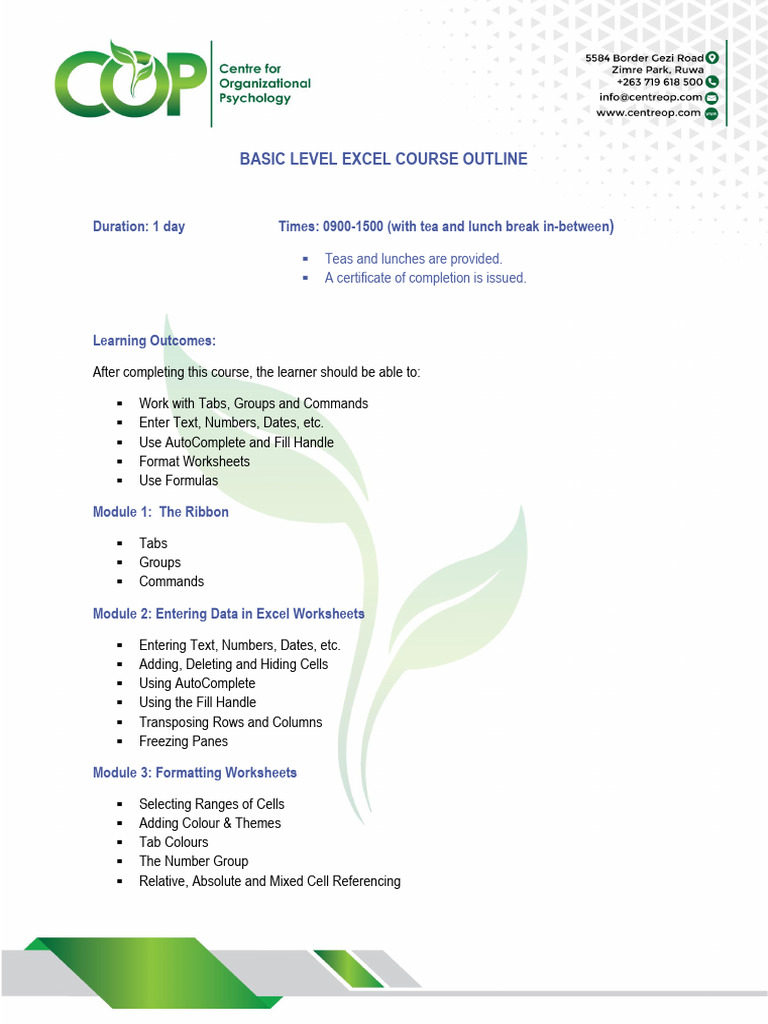 Basic Excel Course Outline | PDF