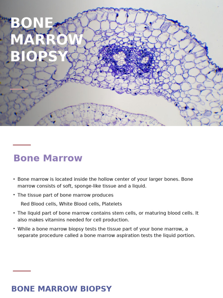 Bone marrow biopsy | PDF | Bone Marrow | Biopsy