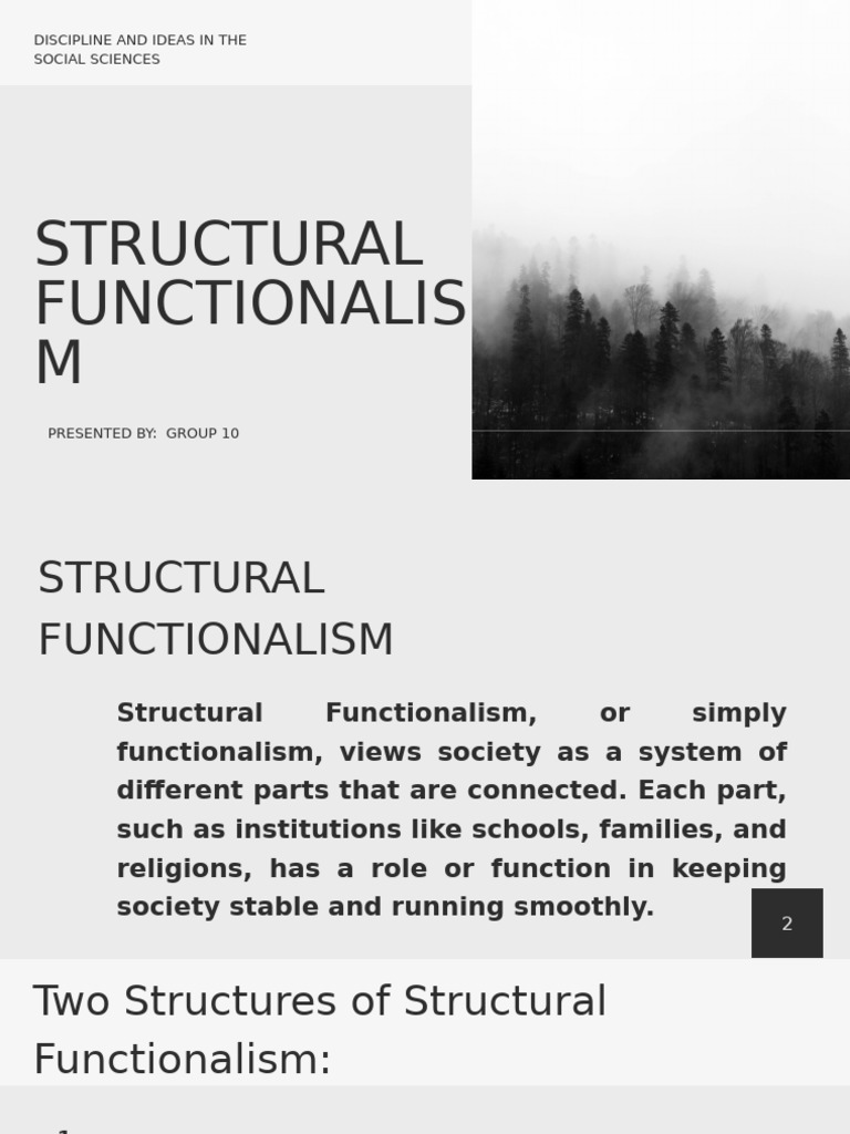 Structural Functionalism Overview | PDF | Social Psychology | Behavioural Sciences