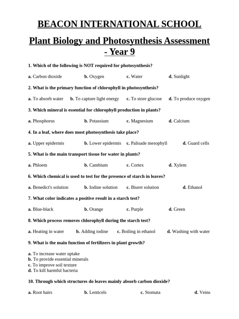 Year 9 Biology Assessment - Plant Biology (Online) | PDF | Leaf ...