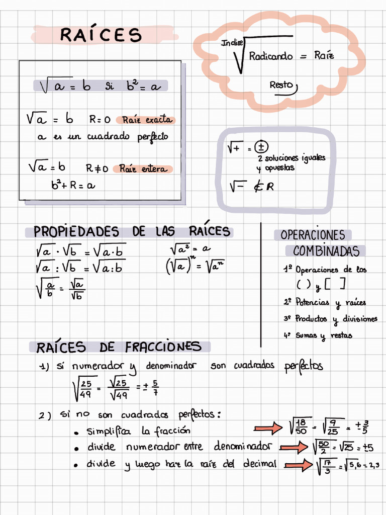 Esquema Raíces | PDF