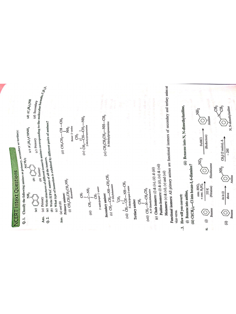 CH 9 Amines | PDF