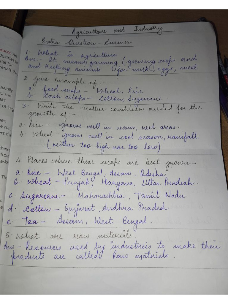 STD 4 Extra Questions | PDF