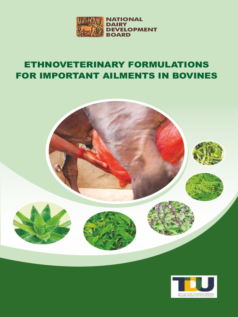 Evm Brochure Eng 1 Pdf Curry Garlic