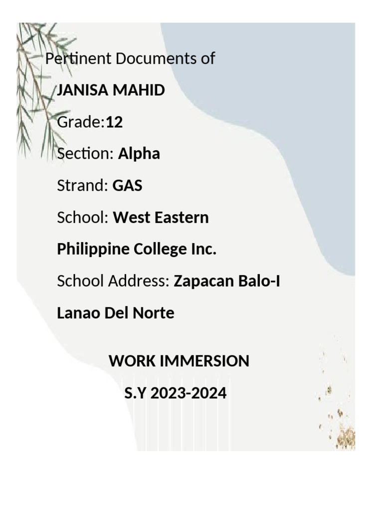 Janisa Mahid Work Immersion Docs | PDF