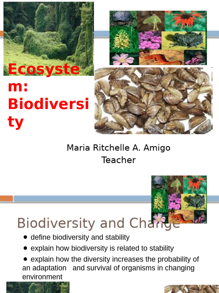 Biodiversity Students Copy g10 q3 w7 8 2 | PDF | Biodiversity ...