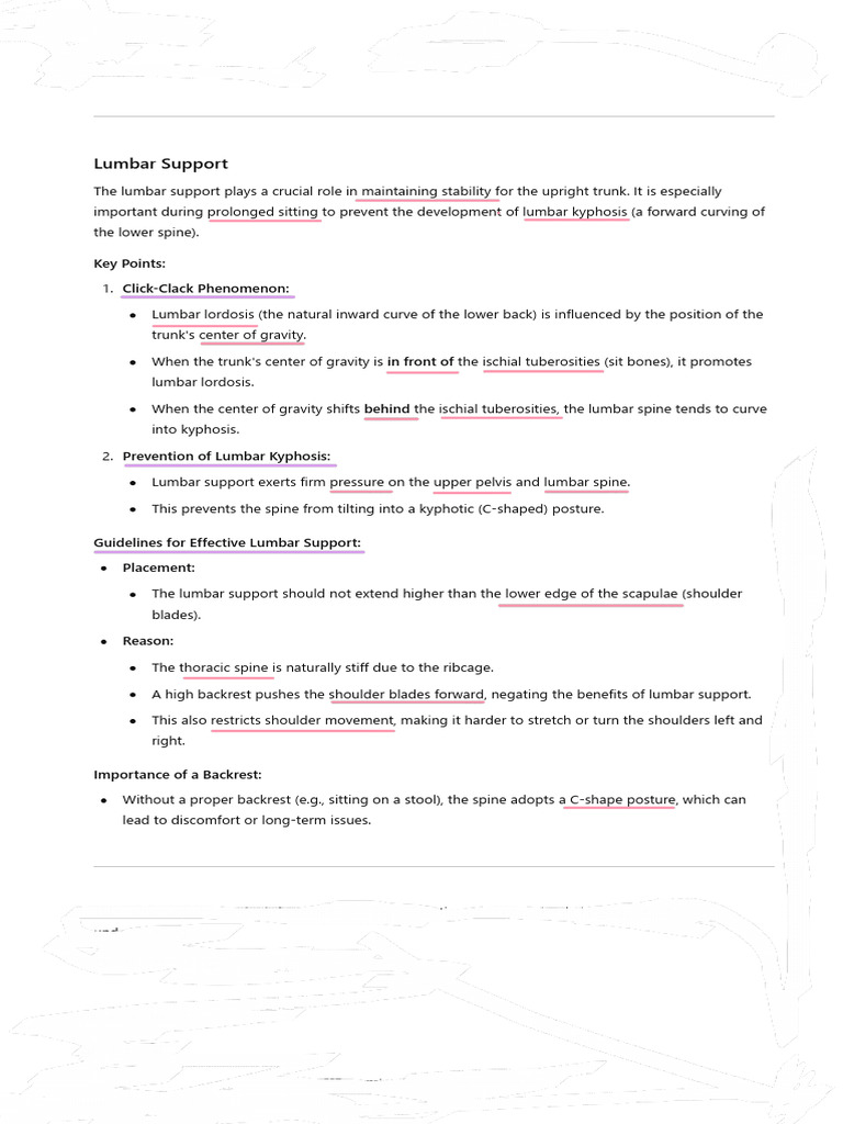 Lumbar Support - 250120 - 131903 | PDF | Vertebral Column | Skeletal System