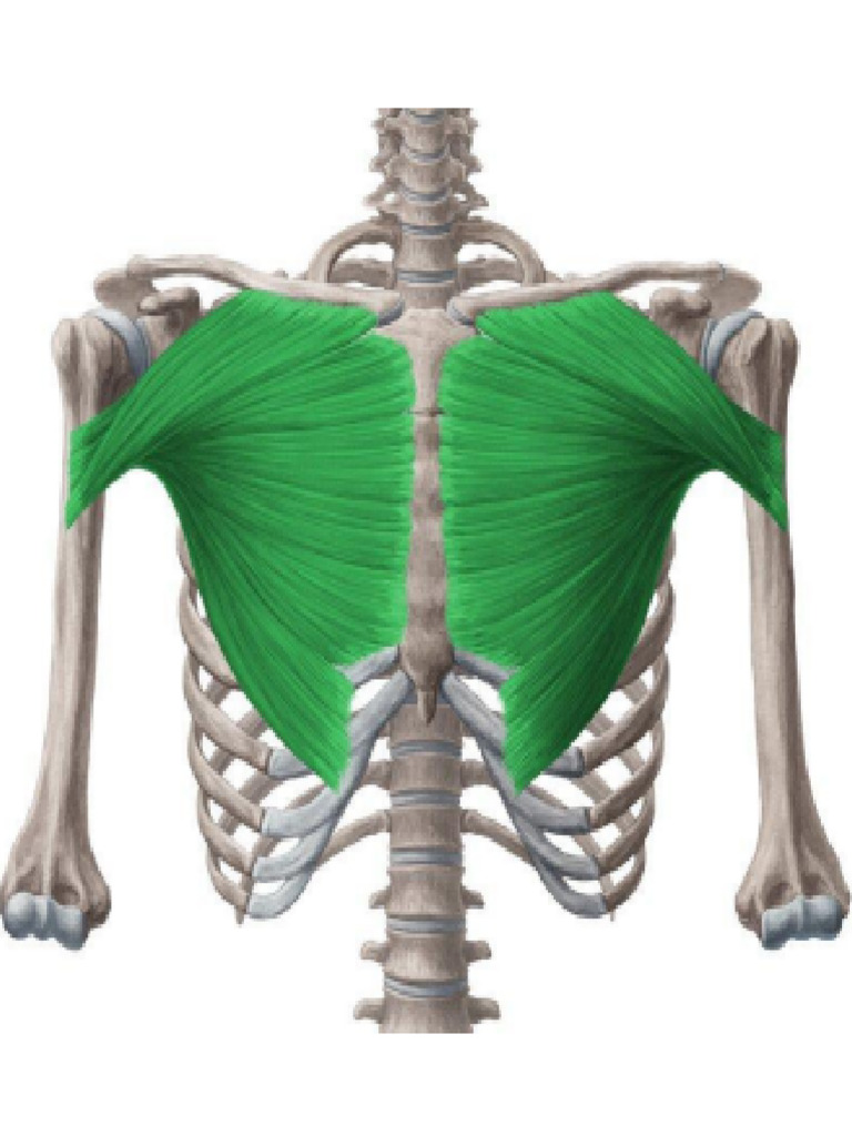 Screenshot 1534 | PDF